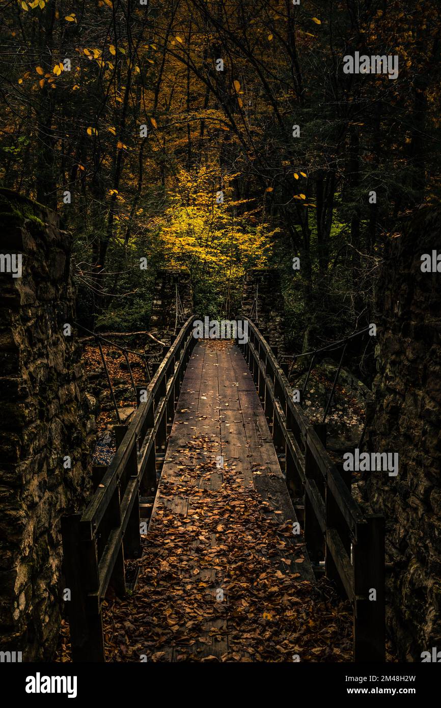 Swinging Bridge and Fall Foliage Stock Photo - Alamy