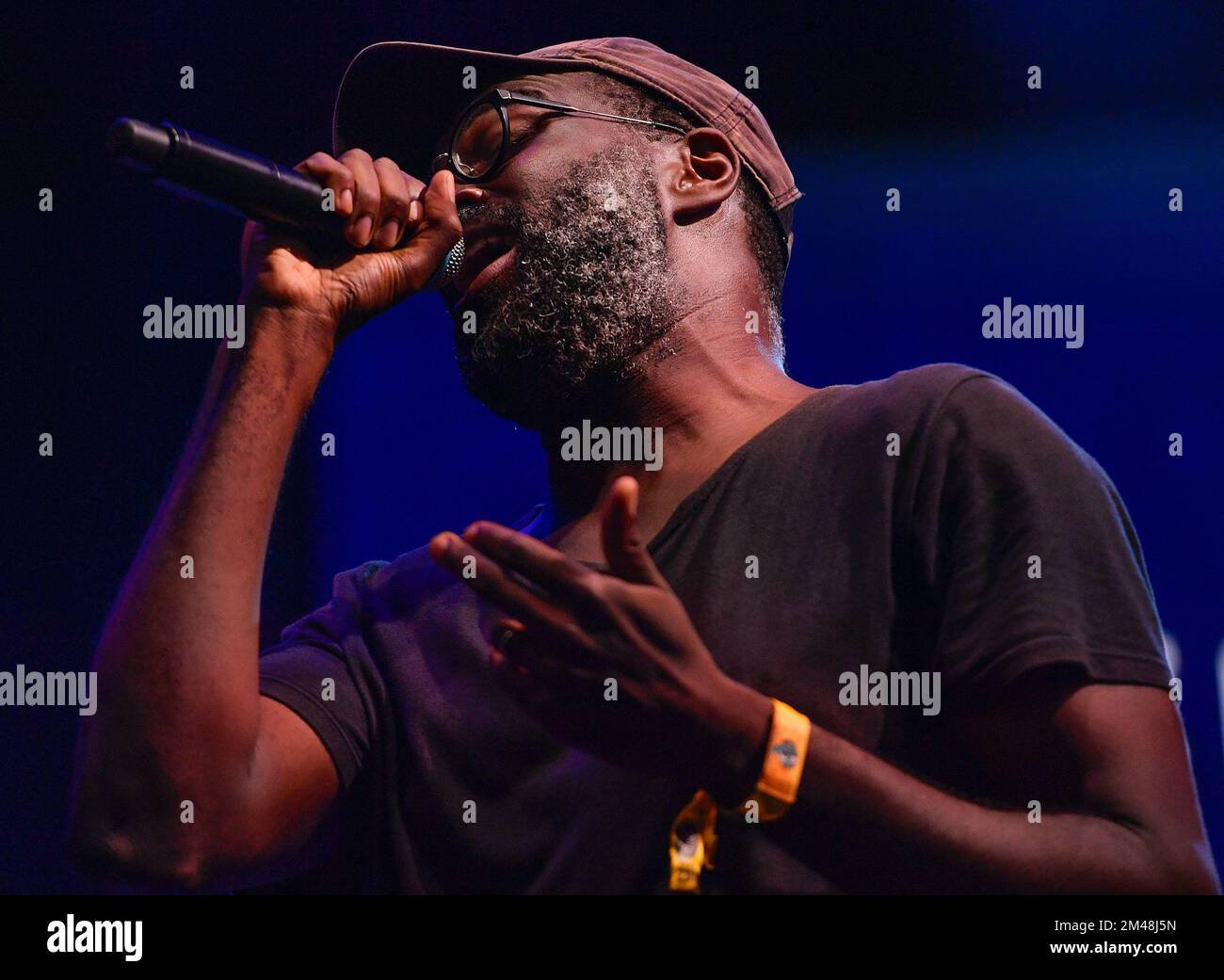 The Meadows -TV on the Radio in concert Stock Photo - Alamy