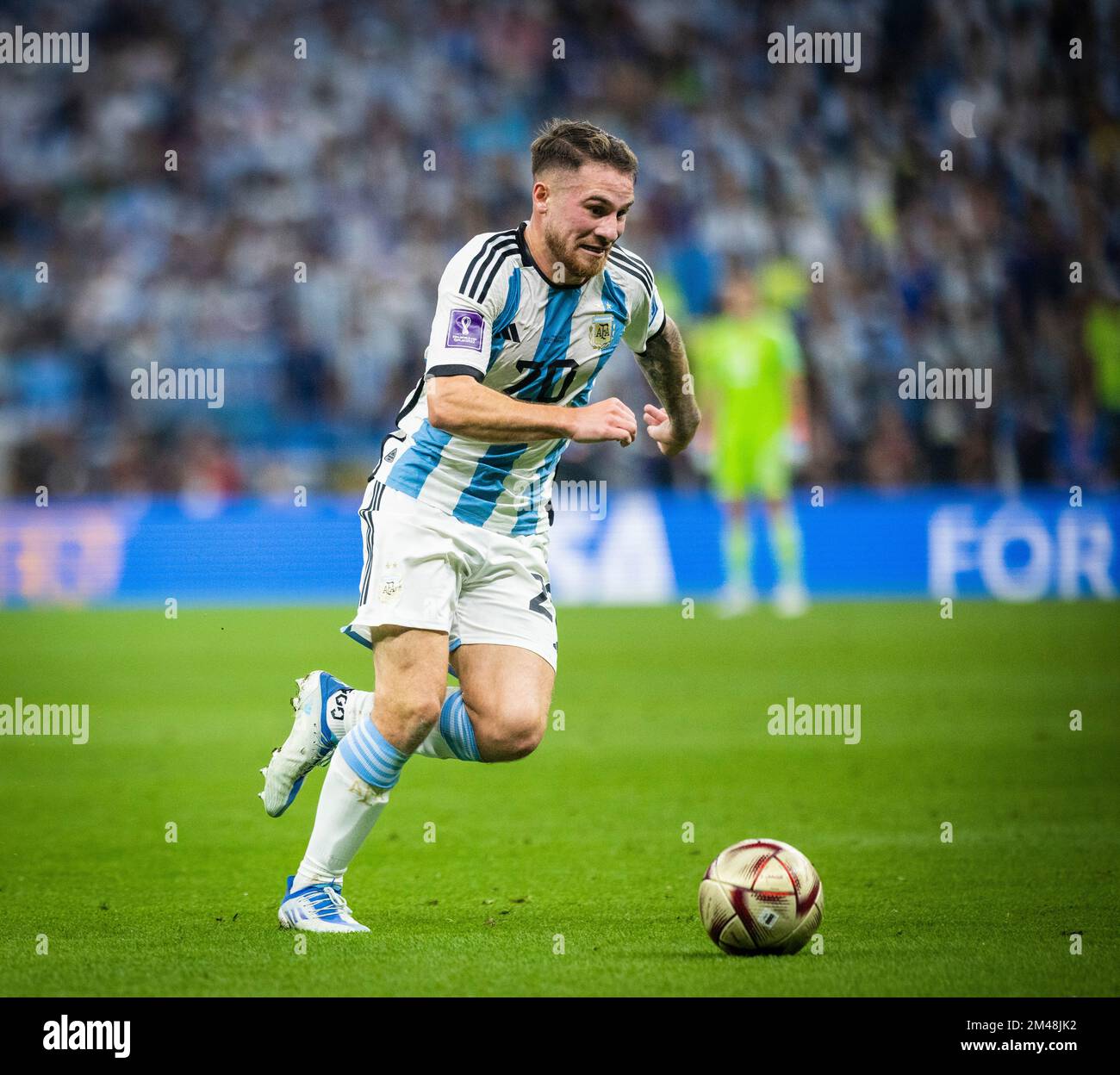 Doha, Qatar. 18th Dec, 2022. Alexis Mac Allister (Arg) Argentina ...