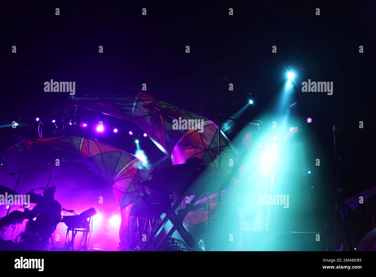 Treasure Island Music Festival - Animal Collective in concert Stock ...