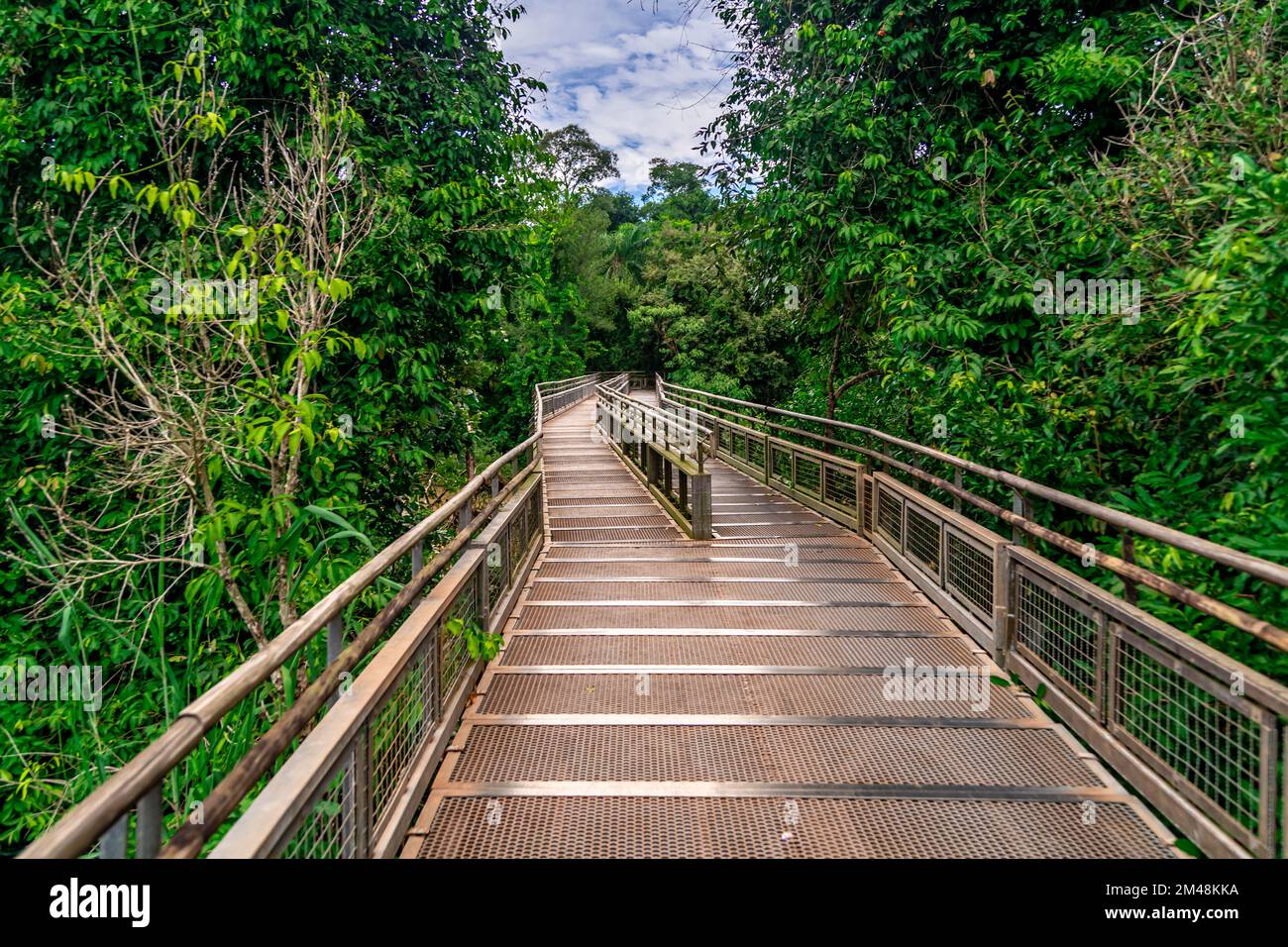 tourist lookout bridge at iguazu falls in argentina Stock Photo - Alamy