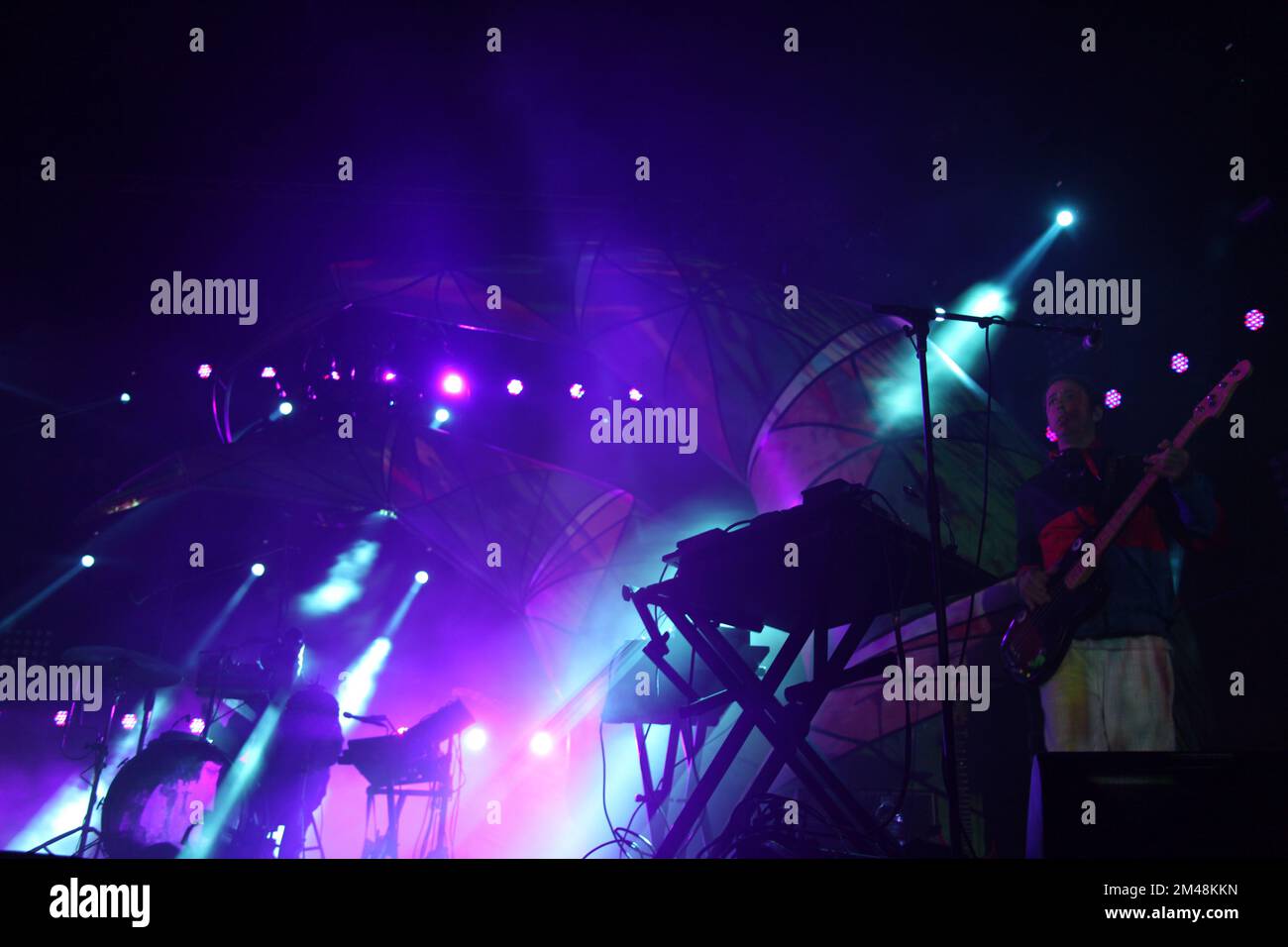 Animal collective hi-res stock photography and images - Alamy