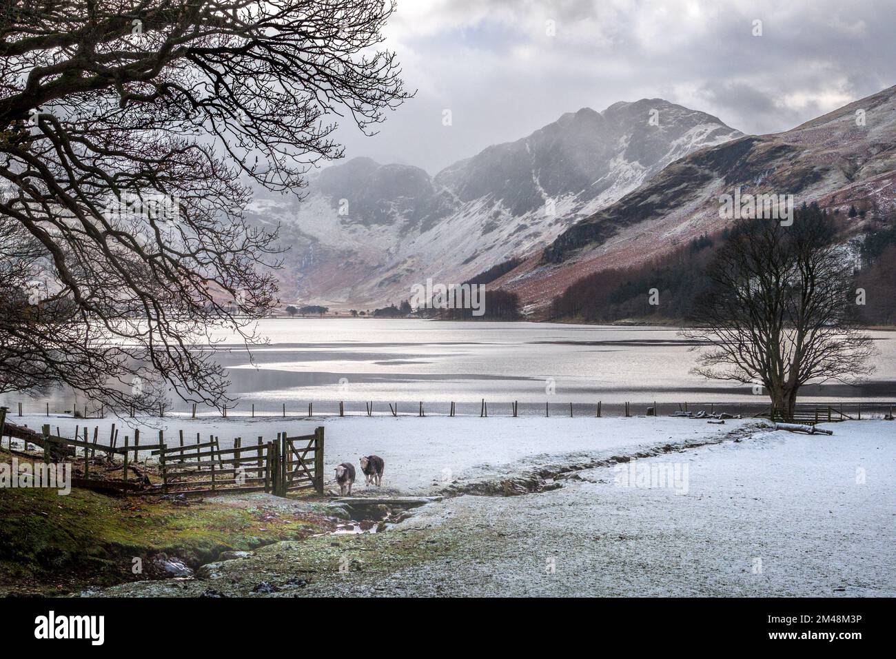 Buttermere lake and Haystacks fell / mountain in winter. Lake District ...