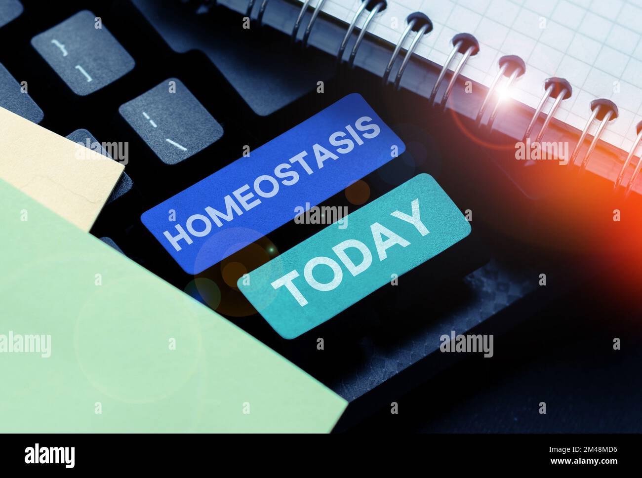 Conceptual display Homeostasis. Internet Concept the tendency toward a ...