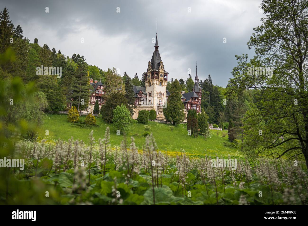 A beautiful view of the historical Peles castle in a green park in ...