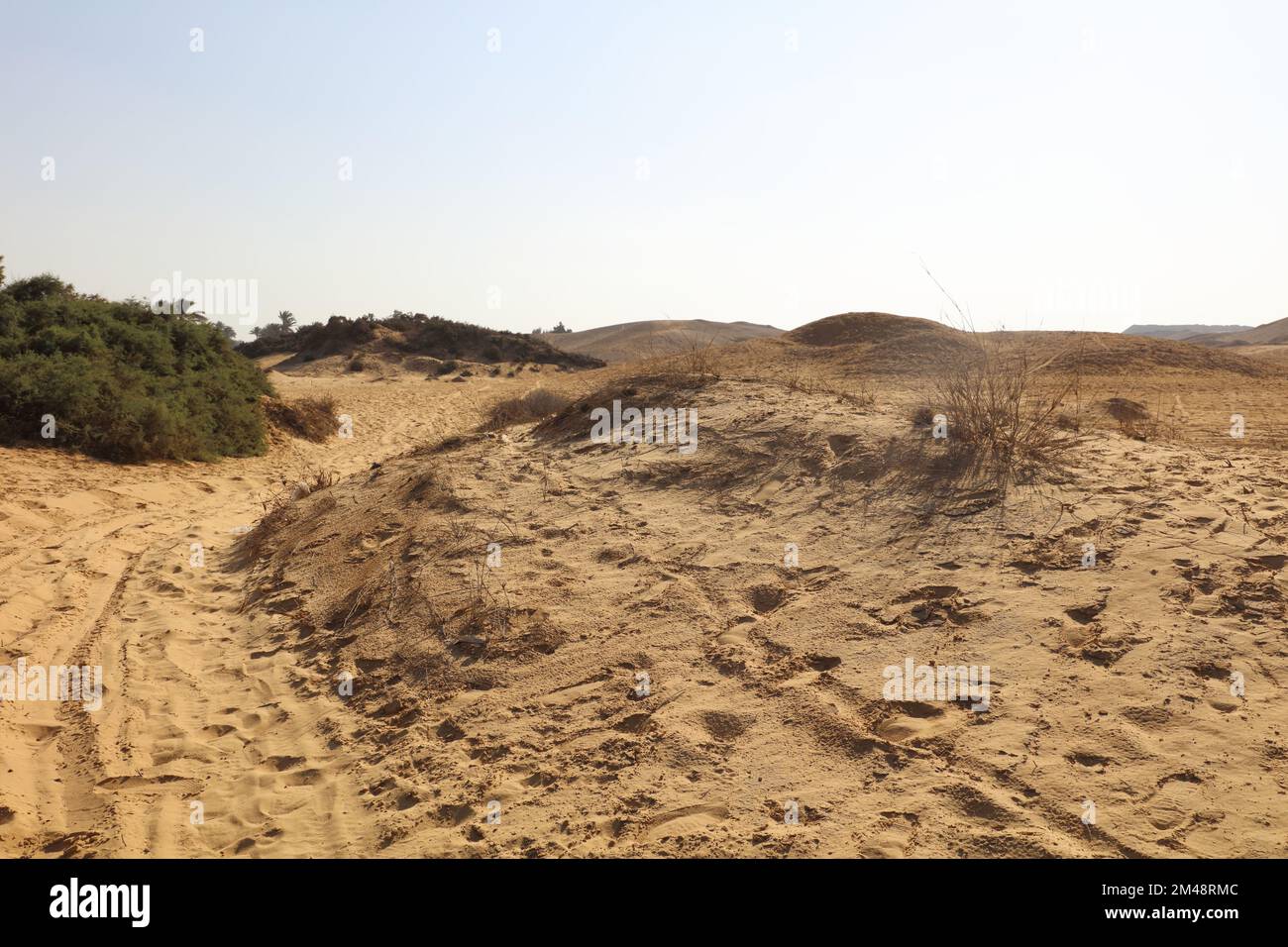 Desert and Sand Stock Photo - Alamy