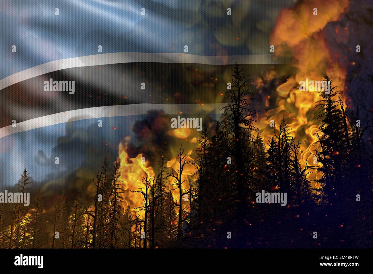 Forest fire natural disaster concept - flaming fire in the woods on ...