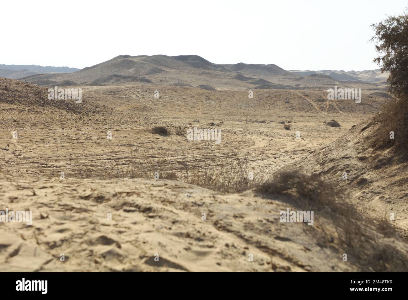 Desert and Sand Stock Photo - Alamy