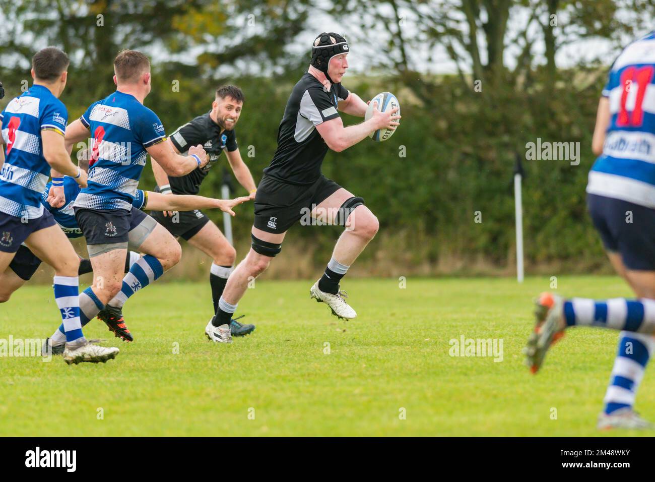 Tall Berwick player in scrum cap runs with ball in both hands chased by ...