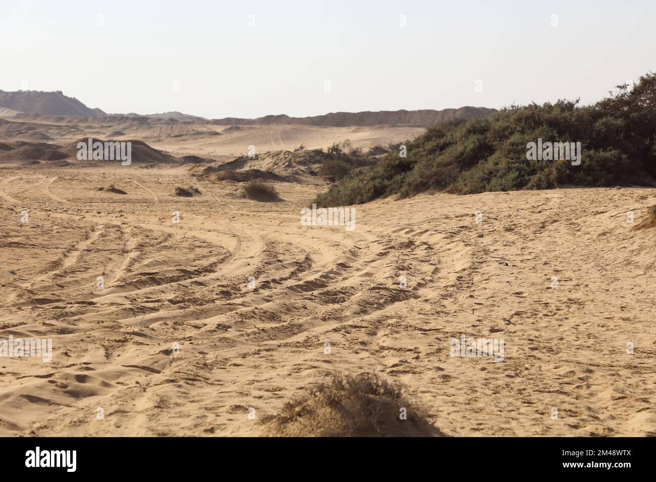Desert and sand Stock Photo - Alamy