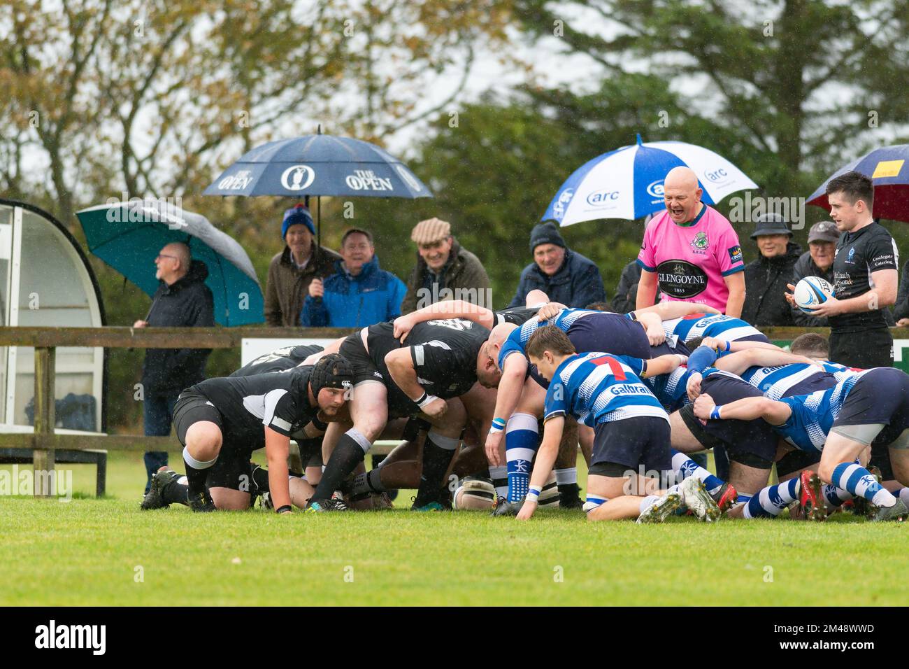 Players pack down for a scrum with supporters with umbrellas looking on ...
