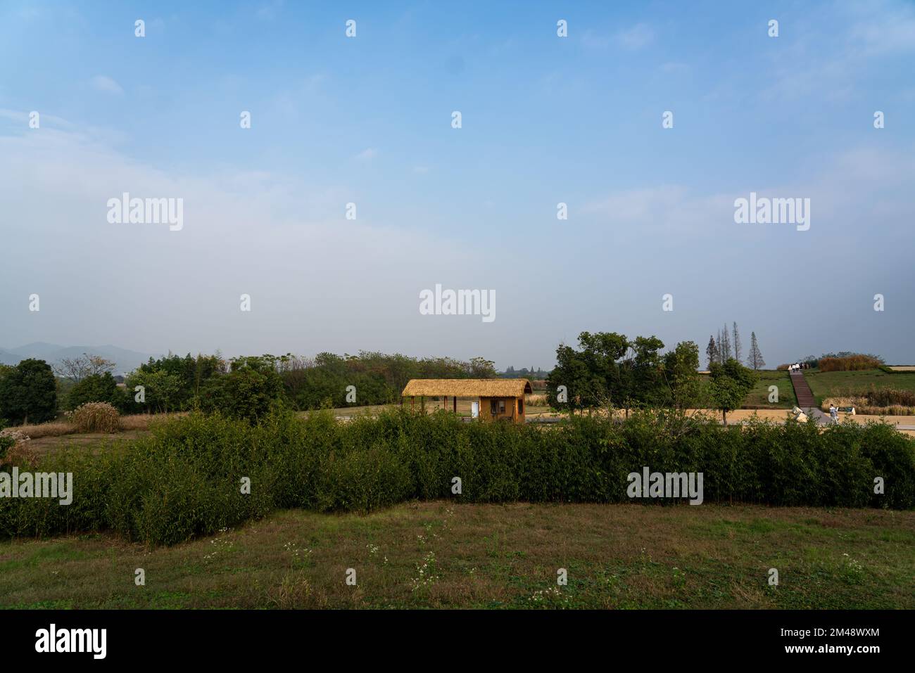 A small countryside hut surrounded by the field under the clear blue ...
