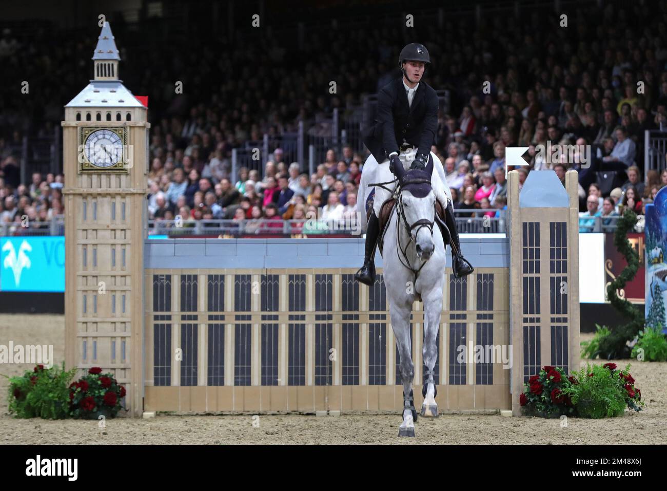 Horse hallilea hi-res stock photography and images - Alamy