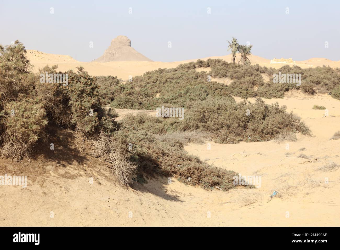 Desert, Sand, Pyramid, and Wild Plants Stock Photo - Alamy
