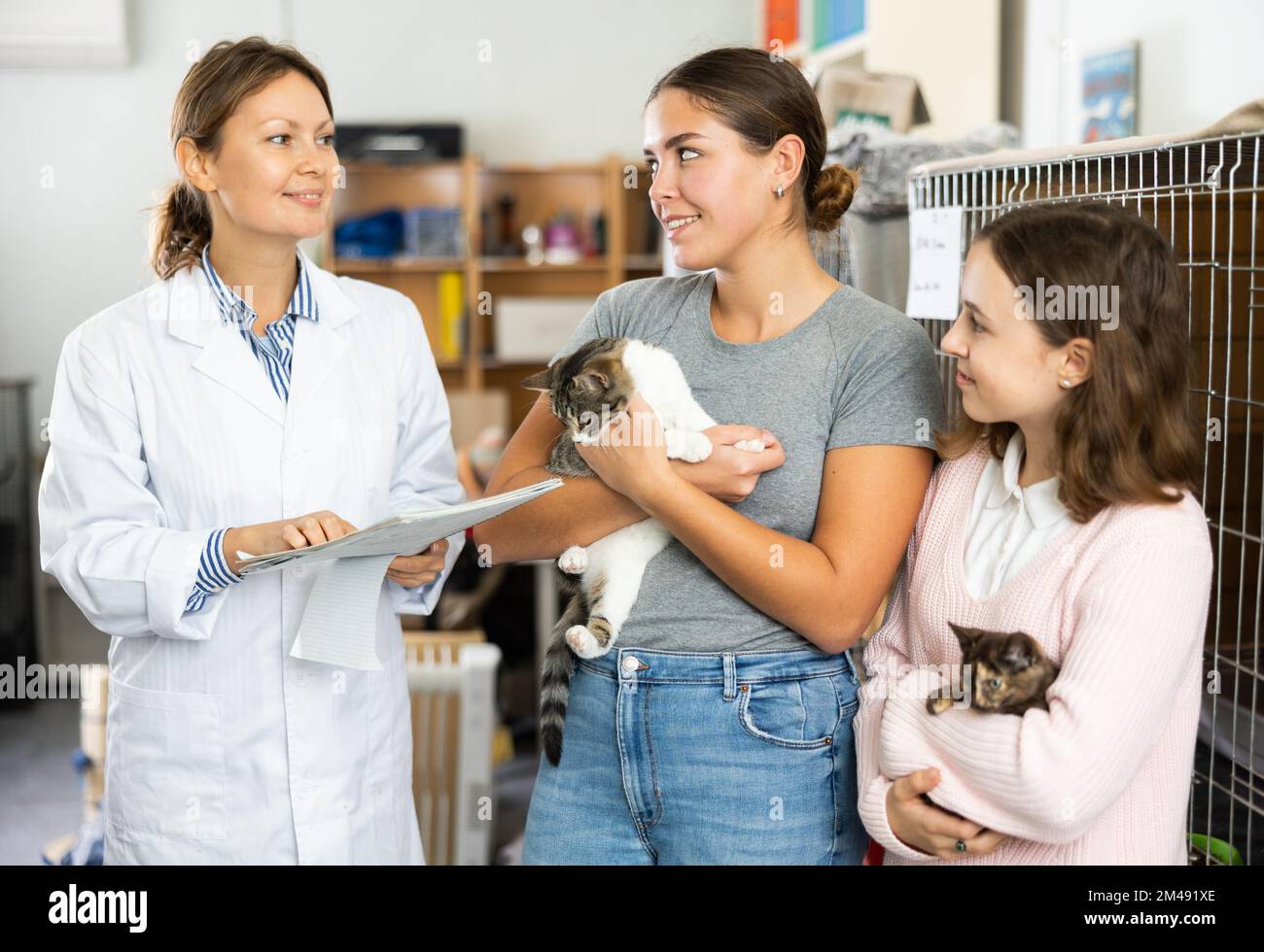 Female worker of animal shelter talking to girls adopting cats Stock ...