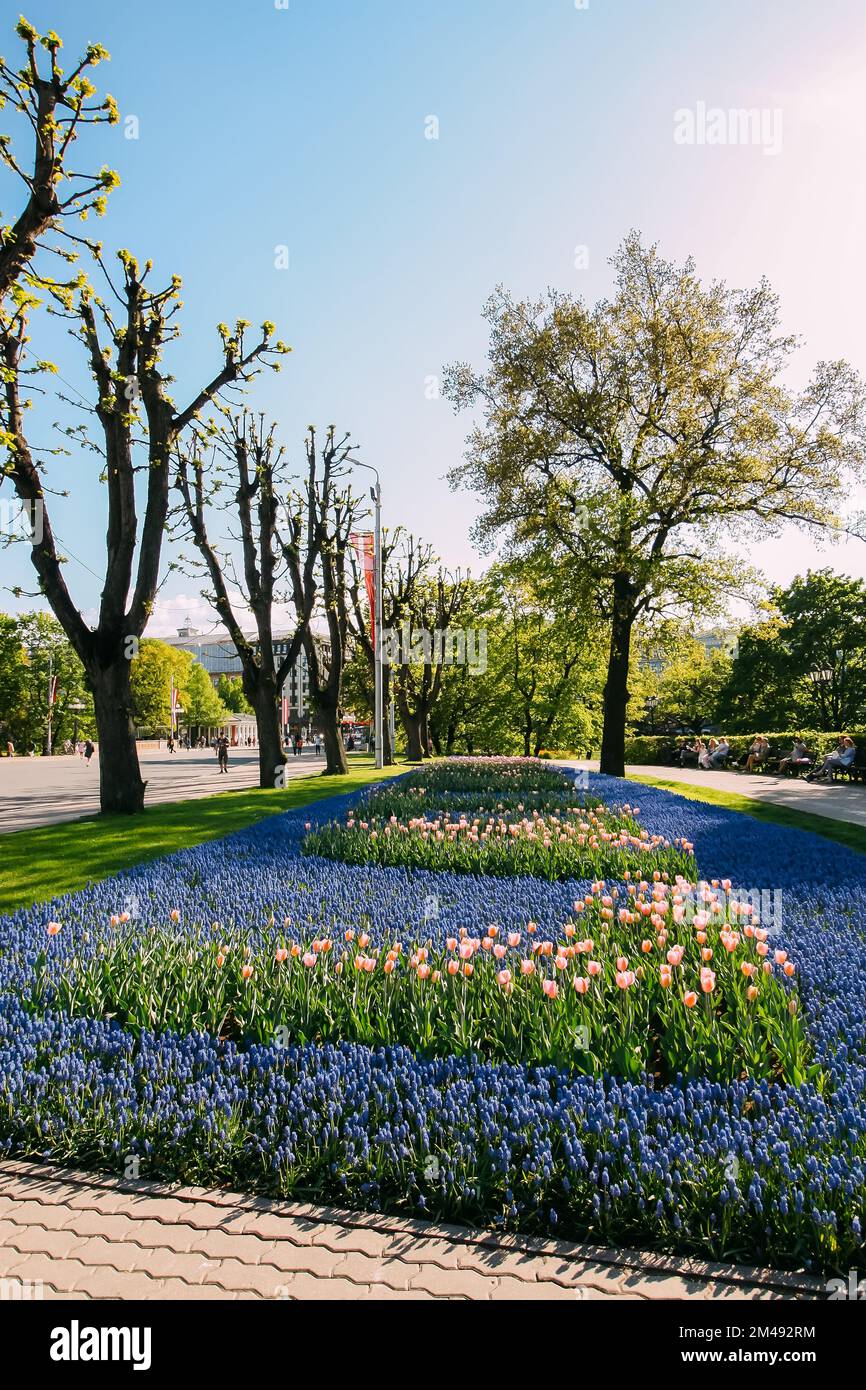 Scenic view in a spring park. Flowers in bloom Stock Photo - Alamy