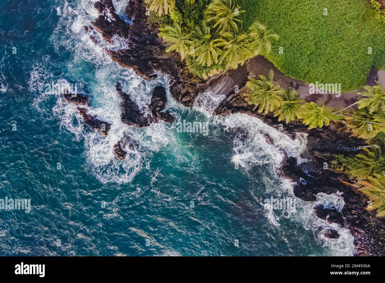 Maui beach cliff palm tree hi-res stock photography and images - Alamy