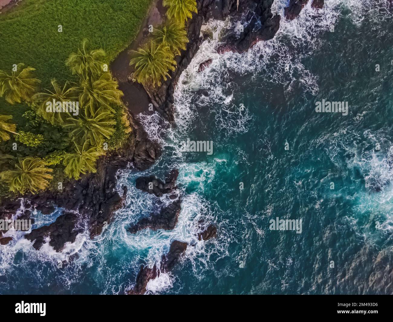 Maui beach cliff palm tree hi-res stock photography and images - Alamy