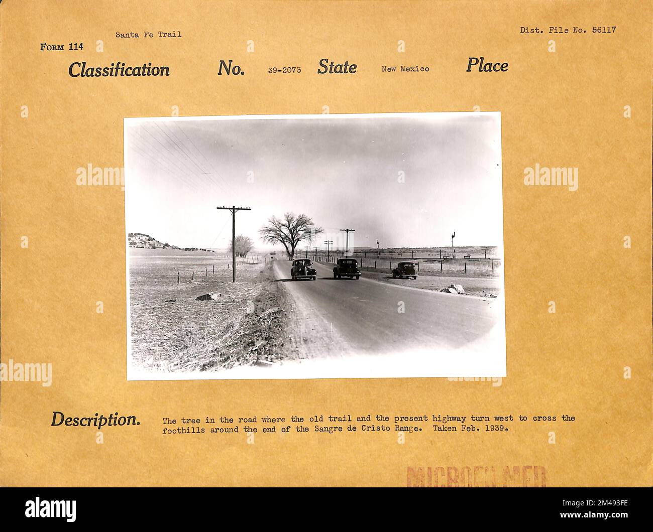 The Tree in the Road Where the Old Trail and the Present Highway Turn ...