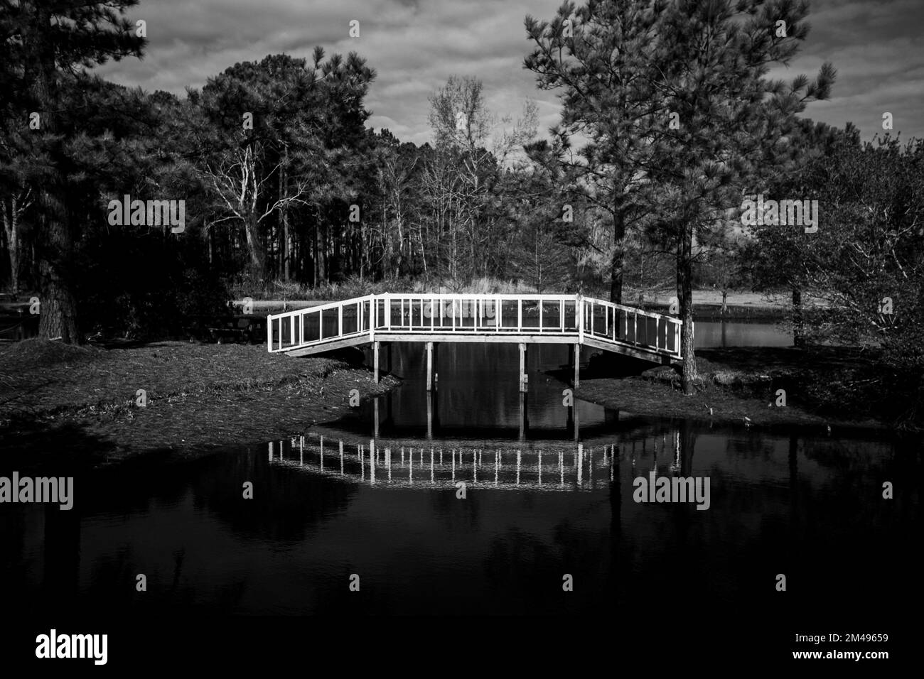 a grayscale shot of a bridge above a lake Stock Photo - Alamy