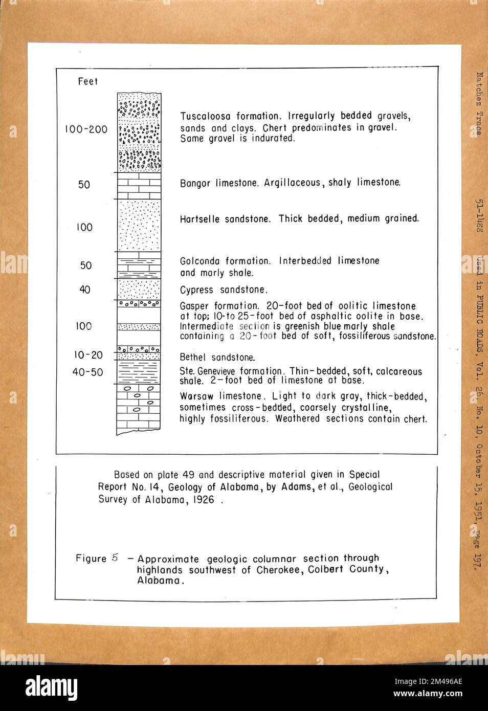 Columnar section hi-res stock photography and images - Alamy