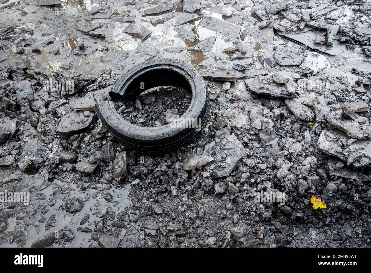 Cut and unusable vehicle tire dumped on a forest track in Sherwood ...