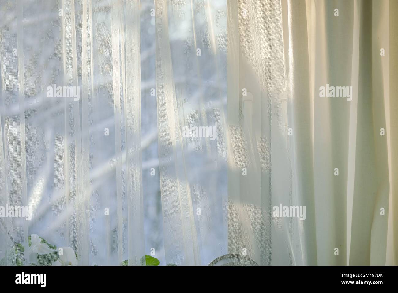 curtains hang in front of sunny winter window Stock Photo - Alamy
