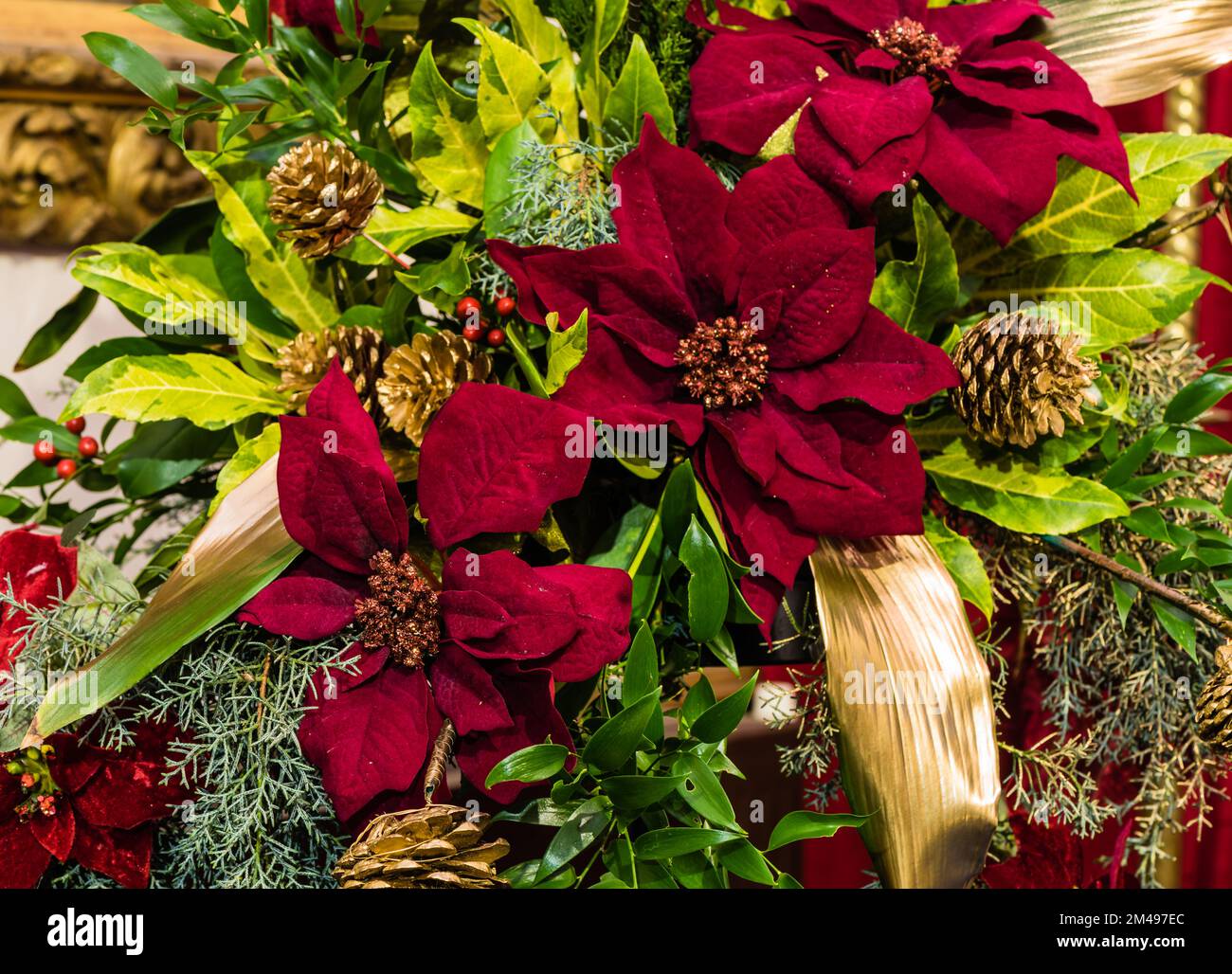 Christmas 2022 Flower Display at All Saints Church, East Budleigh Stock ...