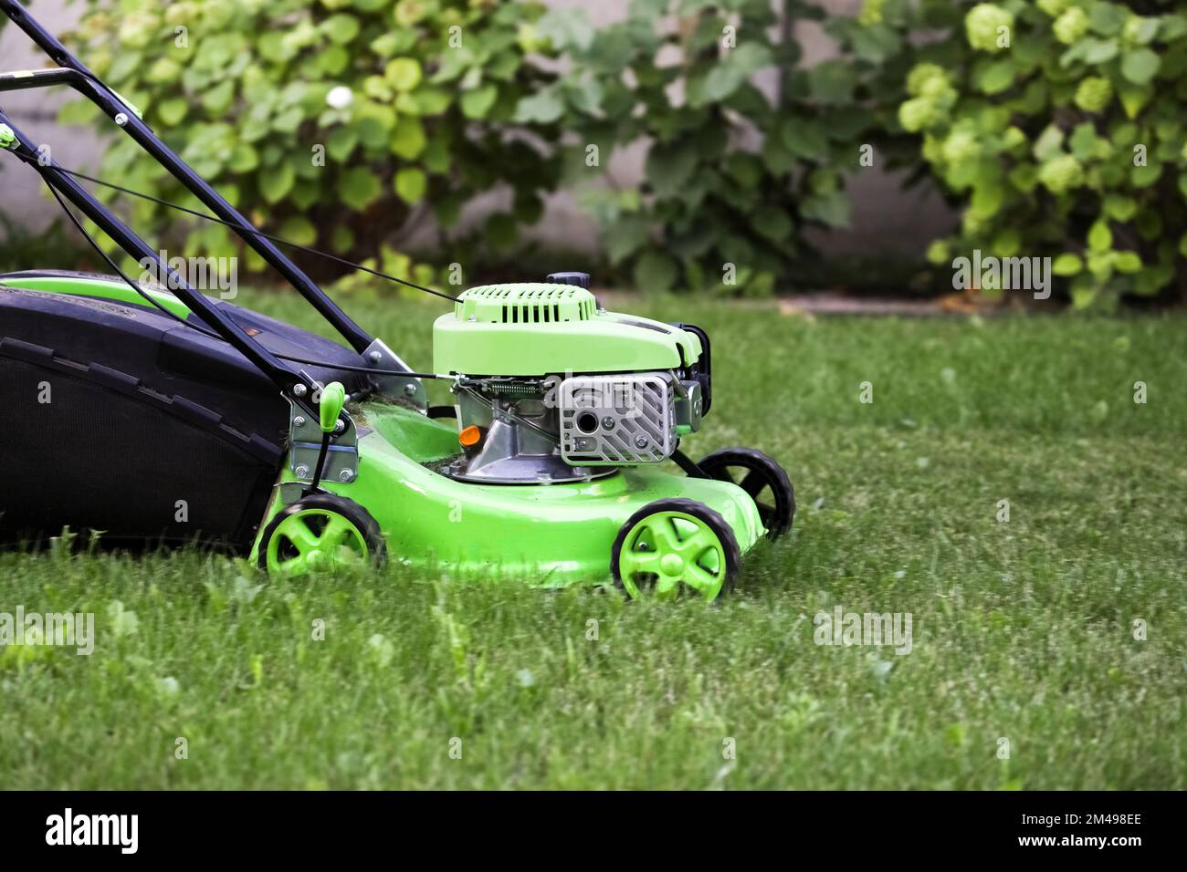 Modern lawn mower on fresh green grass in garden Stock Photo - Alamy