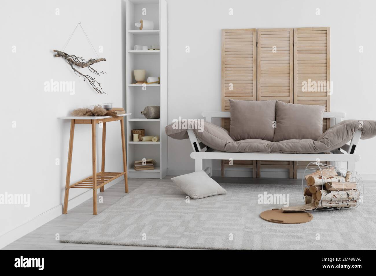 Interior of messy living room with couch and shelving unit Stock Photo ...