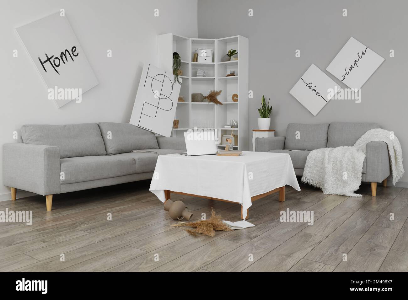 Interior of messy living room with comfortable sofas and modern ...