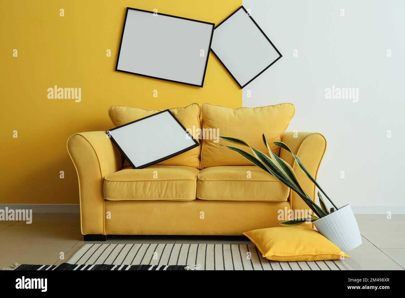 Interior of messy living room with sofa, houseplant and blank photo ...