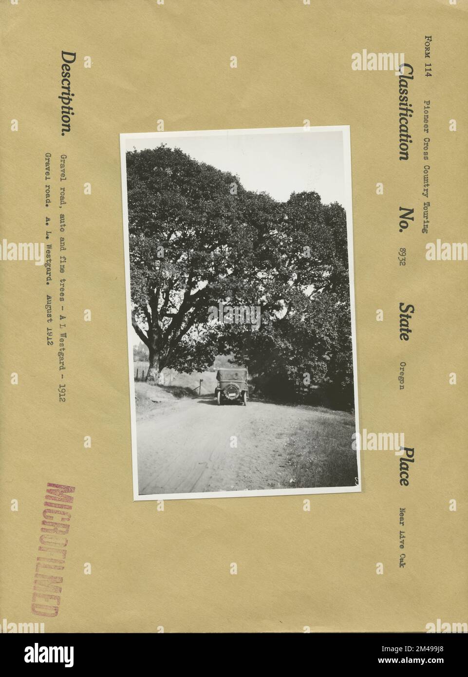 Gravel Road, Auto and Fine Trees. Original caption: Gravel road, auto ...