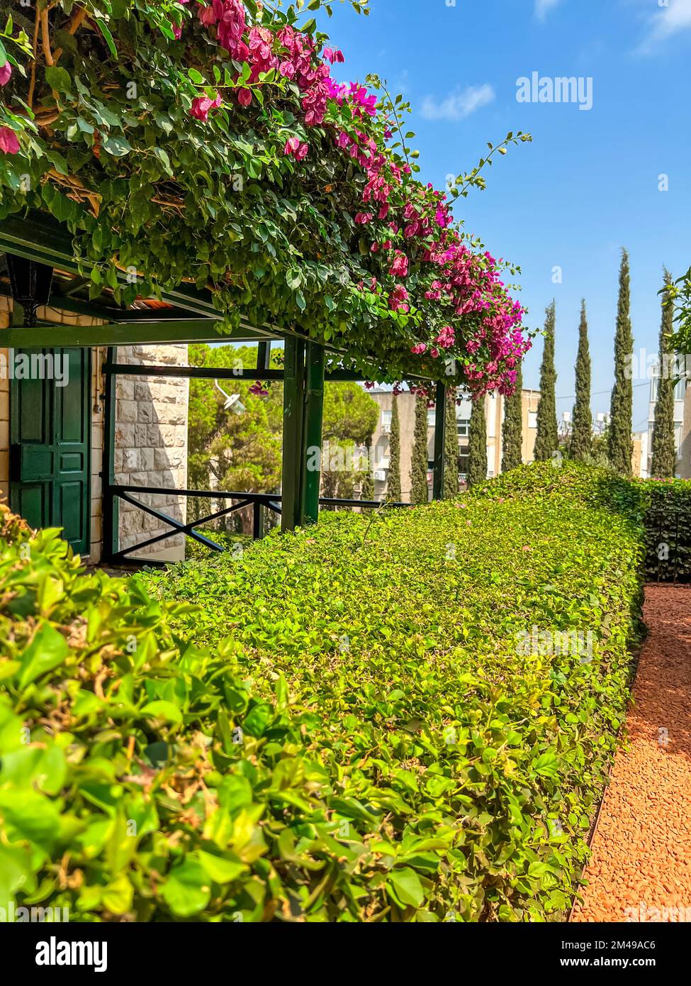 Green bushes near house hi-res stock photography and images - Alamy