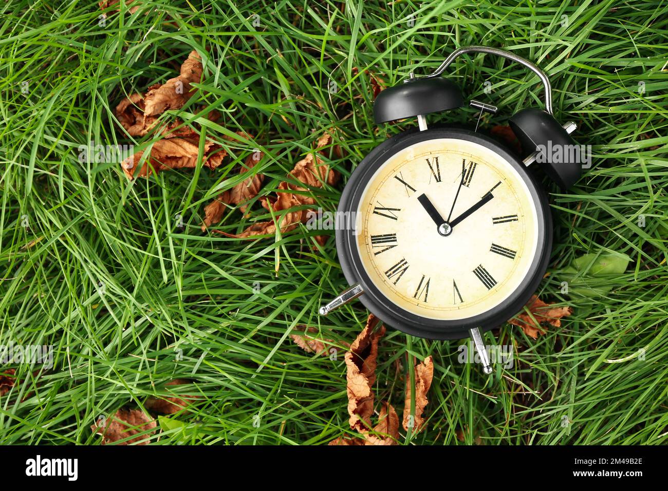 Vintage alarm clock and fallen leaves on green grass Stock Photo - Alamy