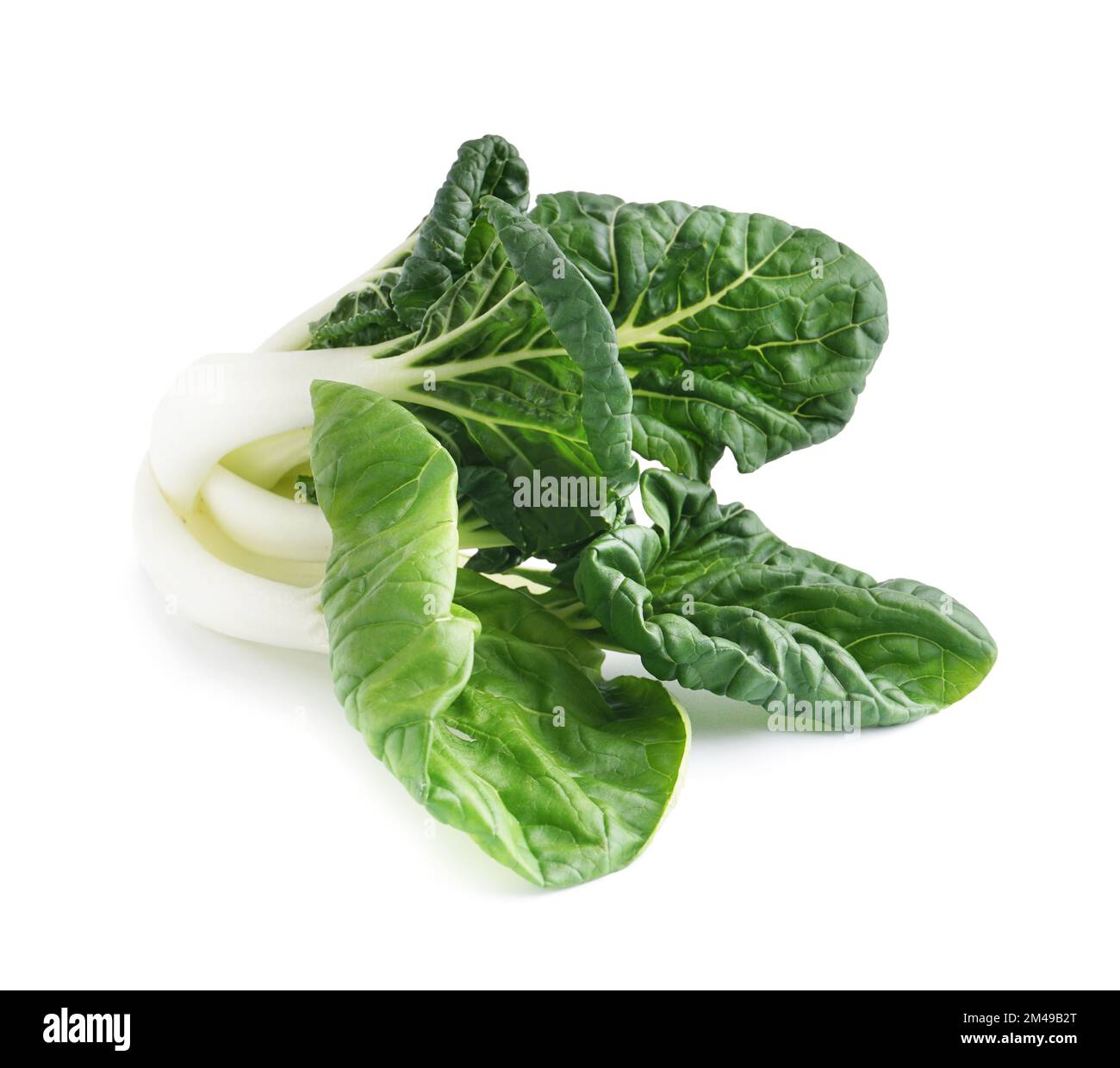 Fresh pak choi cabbage on white background Stock Photo - Alamy