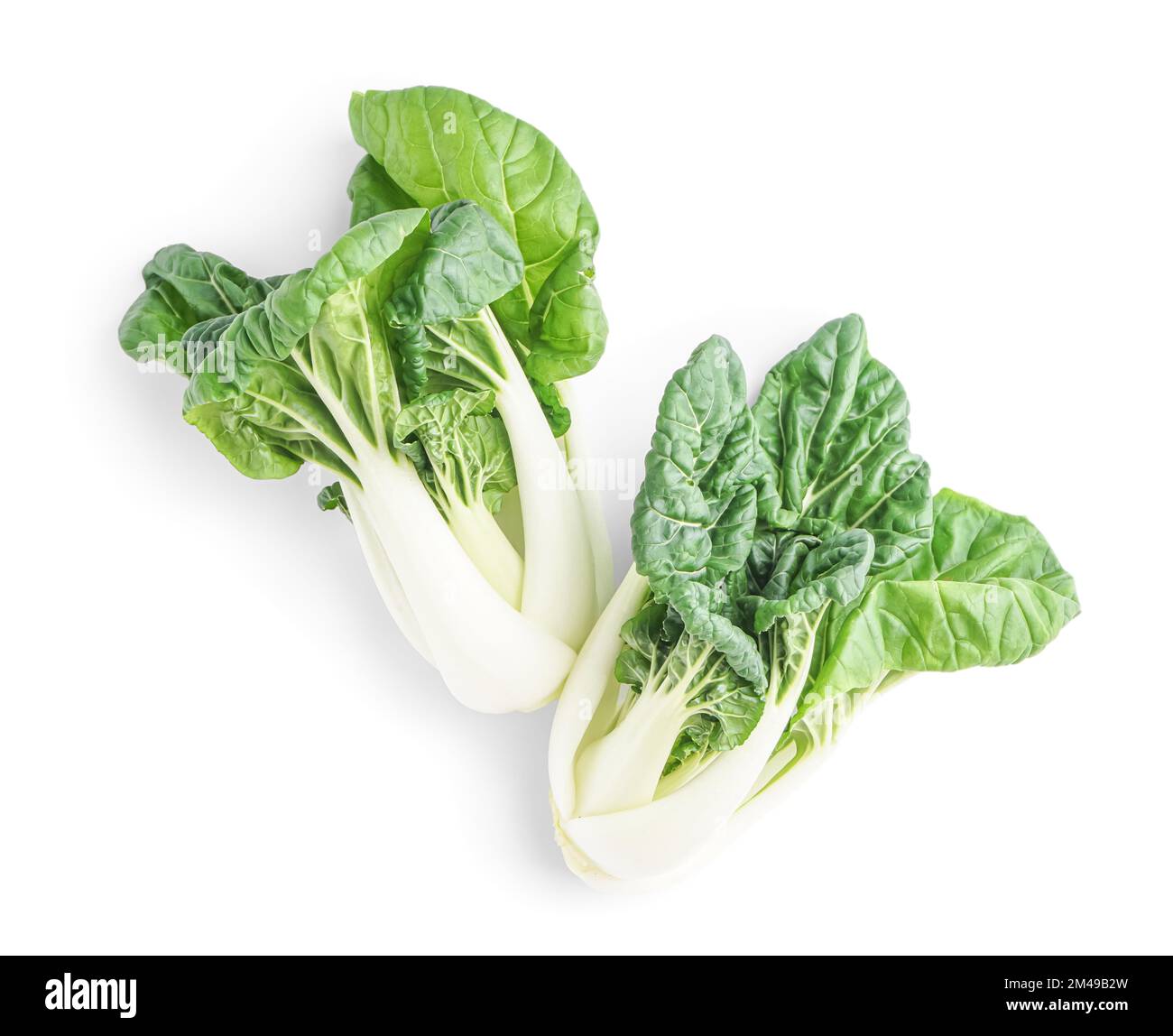 Fresh pak choi cabbage on white background Stock Photo - Alamy