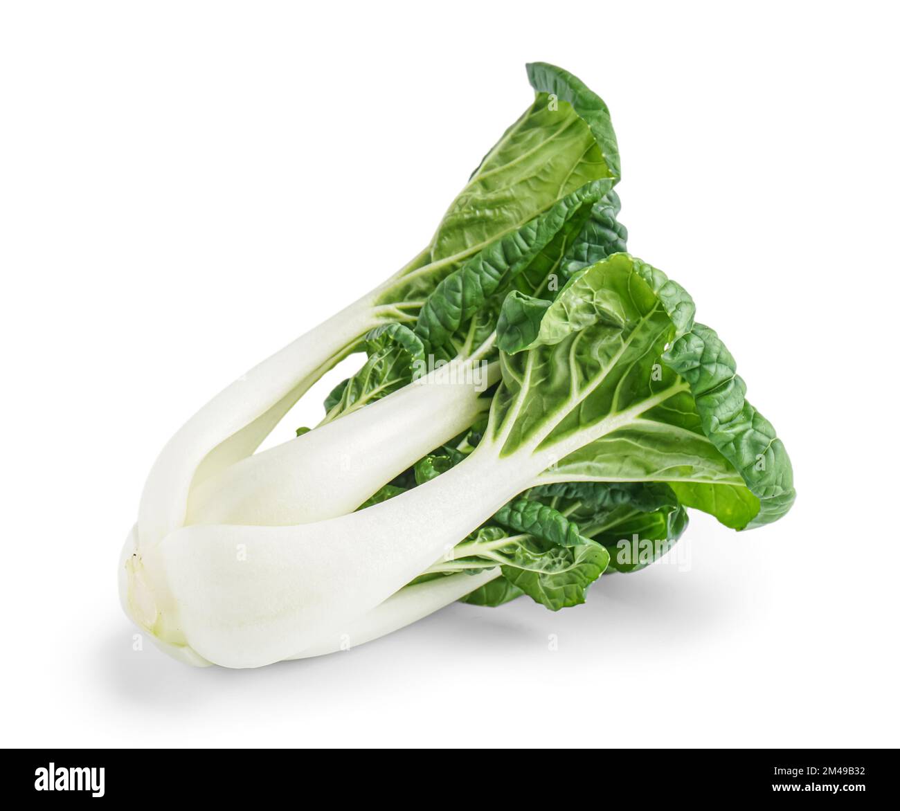 Fresh pak choi cabbage on white background Stock Photo - Alamy