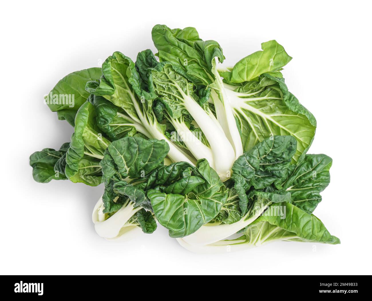 Fresh pak choi cabbage isolated on white background Stock Photo - Alamy