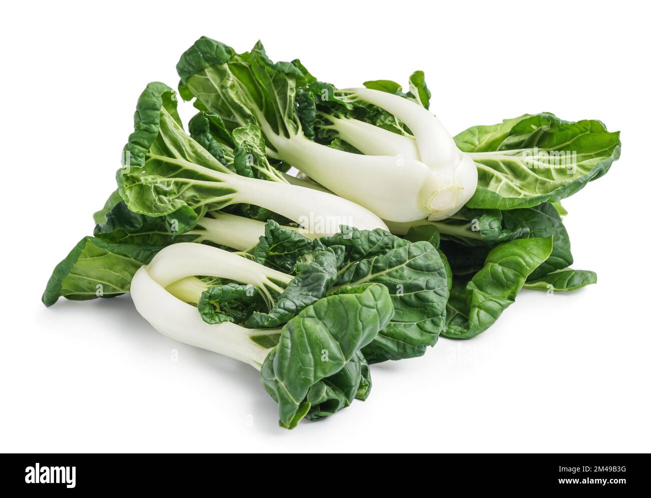 Fresh pak choi cabbage isolated on white background Stock Photo - Alamy
