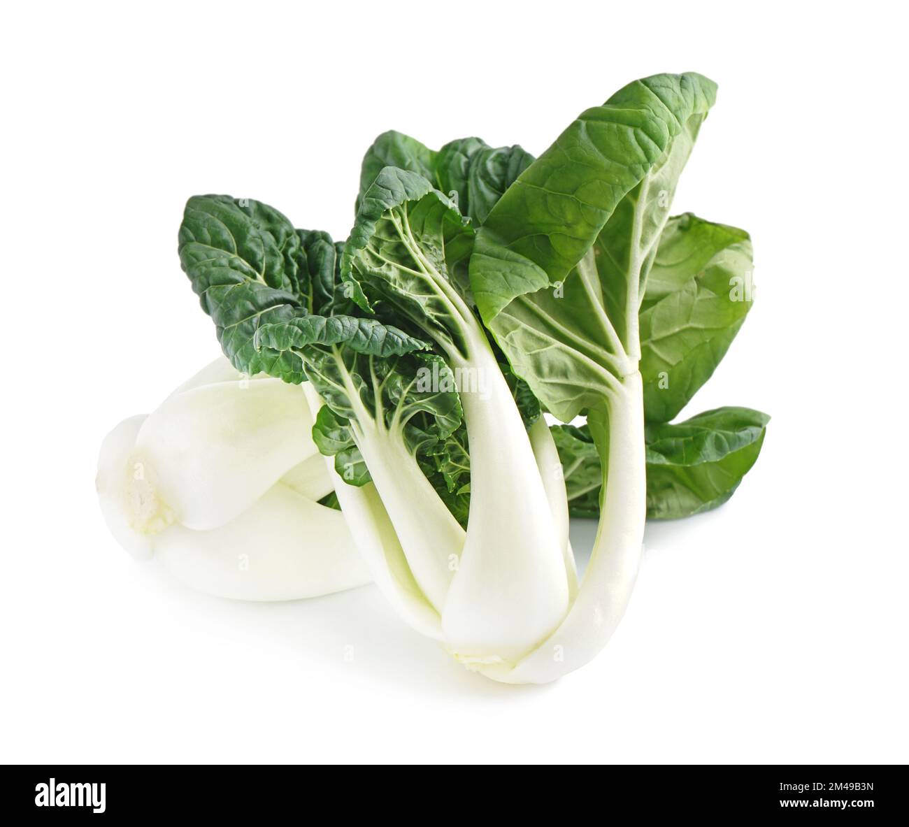 Fresh pak choi cabbage on white background Stock Photo - Alamy