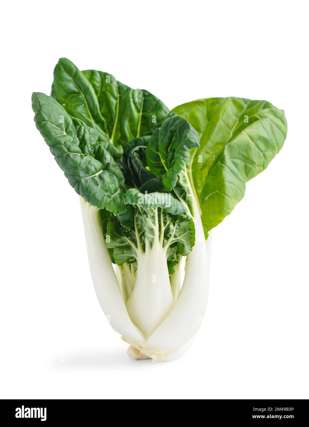 Fresh pak choi cabbage on white background Stock Photo - Alamy