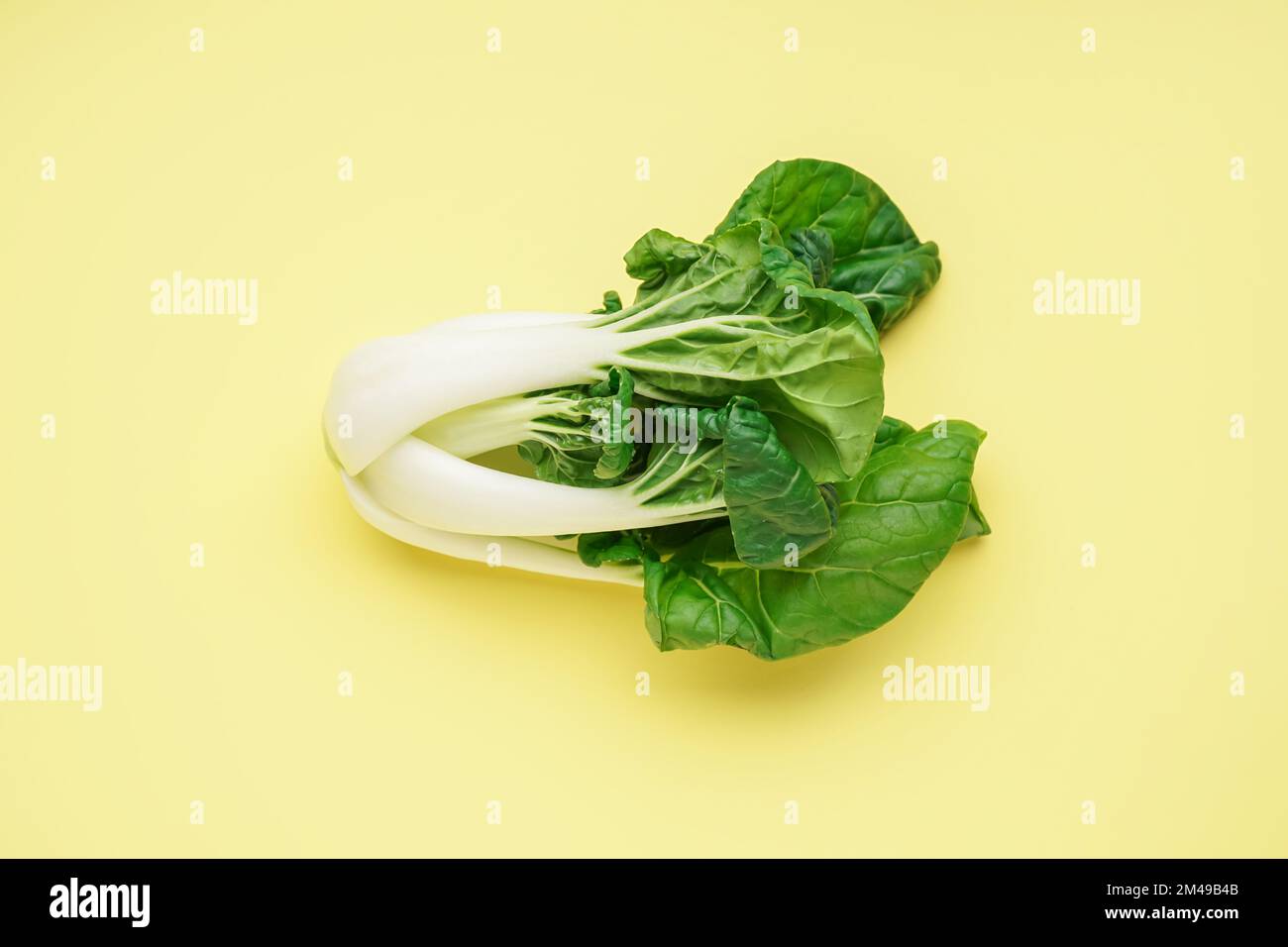 Fresh pak choi cabbage on yellow background Stock Photo - Alamy