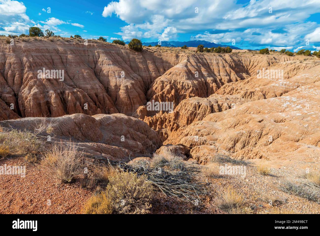 The Cathedral Gorge state park with its patterns made erosions of ...