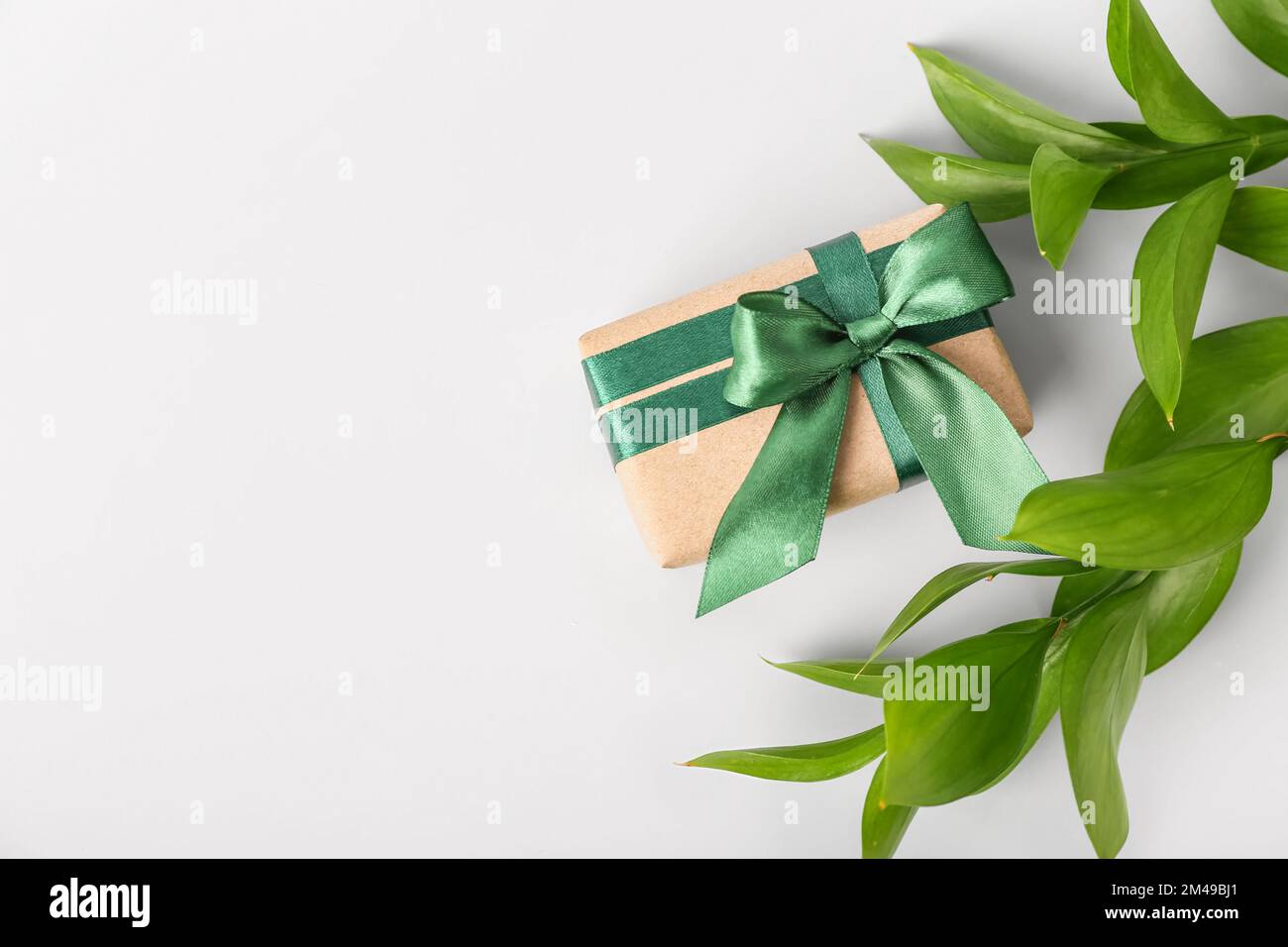 Beautiful gift box with plant branches on white background Stock Photo ...