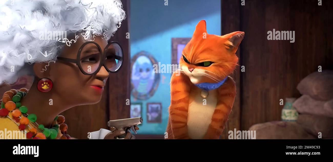 PUSS IN BOOTS: THE LAST WISH, (aka (PUSS IN BOOTS 2: THE LAST WISH ...