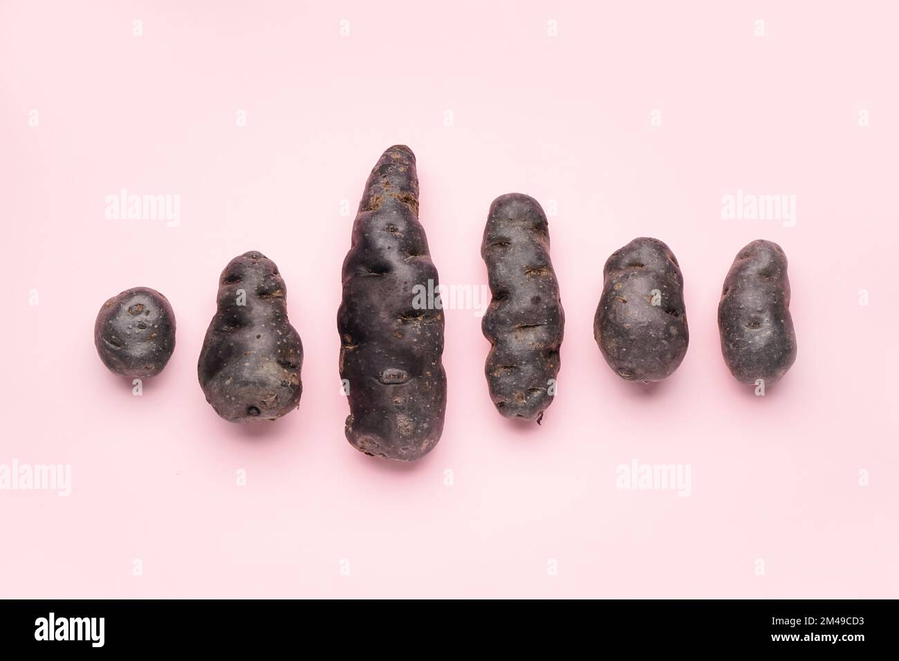 Raw purple potatoes on pink background Stock Photo - Alamy