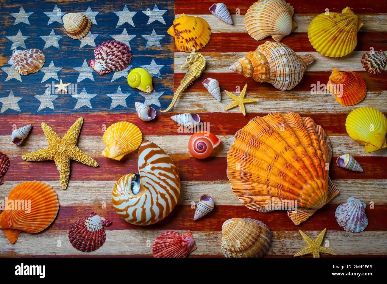 American Flag And Seashells Stock Photo - Alamy