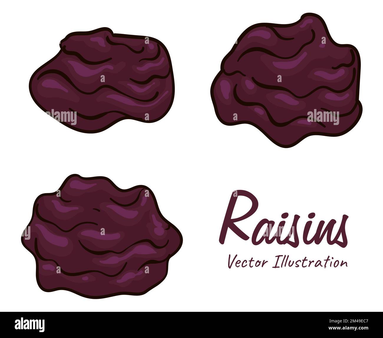 Isolated design showing a set of three raisins with different shapes over white background Stock ...