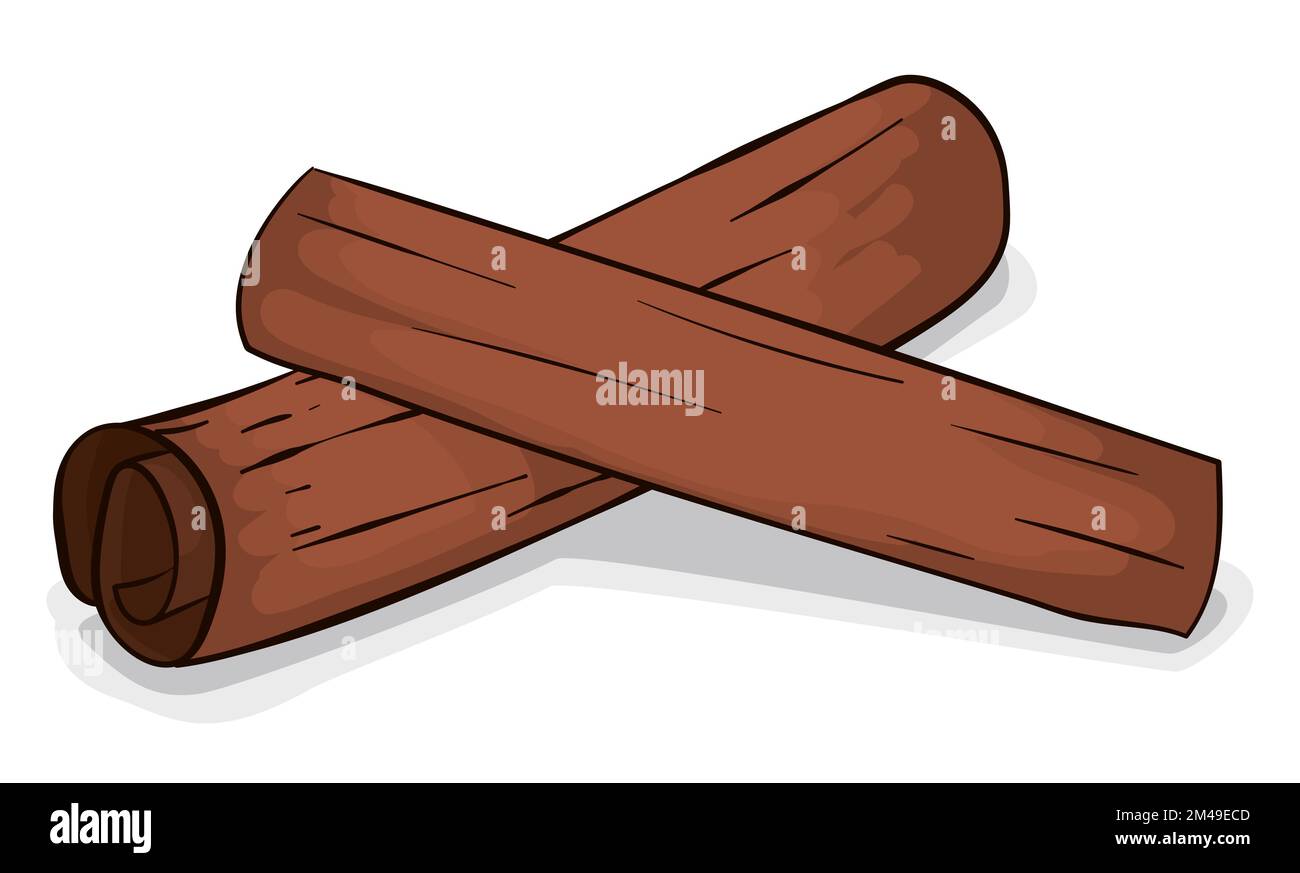 View of an aromatic cinnamon sticks in cartoon style. Design isolated ...